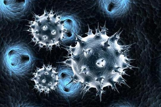 宇宙中有细菌吗图标