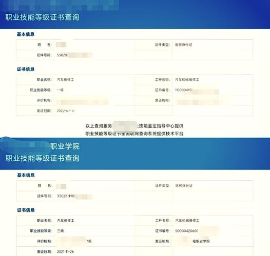 全国职业技能证书查询图标