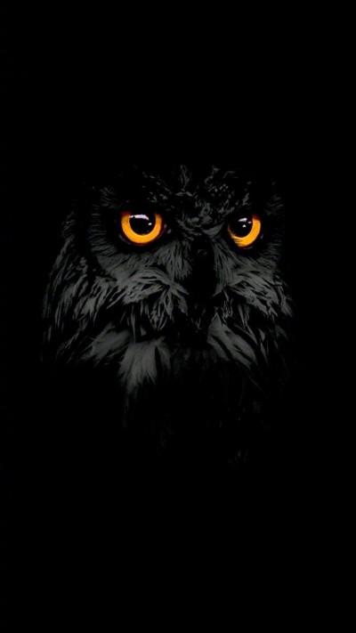 黑色猫头鹰图标