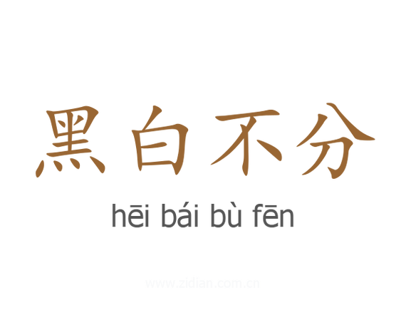 黑白是什么意思图标