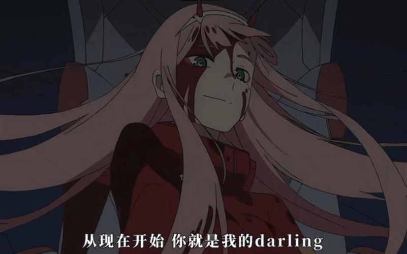国家队02比翼鸟经典台词截图