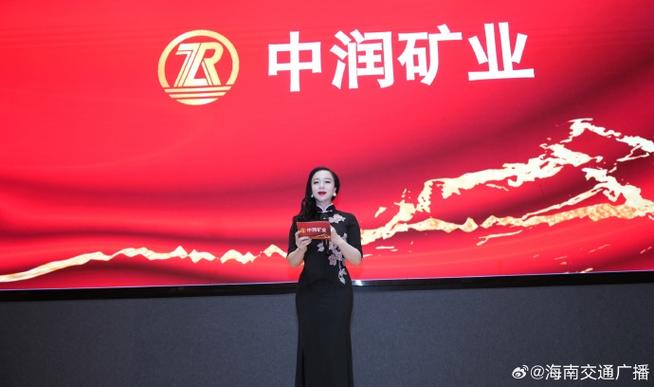 中财国际控股集团有限公司官网截图