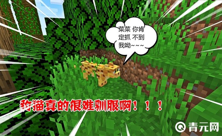minecraft豹猫怎么驯服