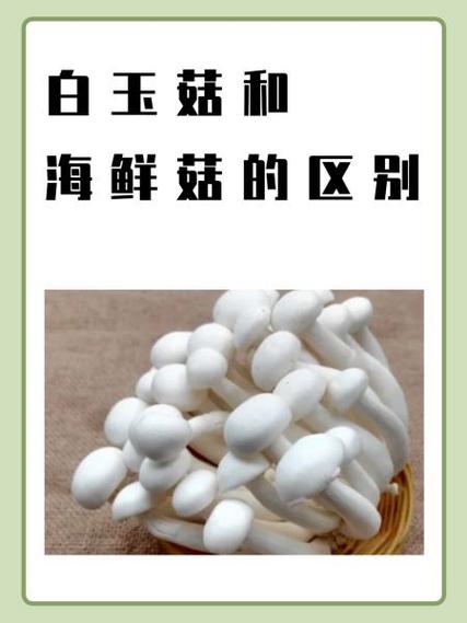 白玉菇和蟹味菇的区别图标