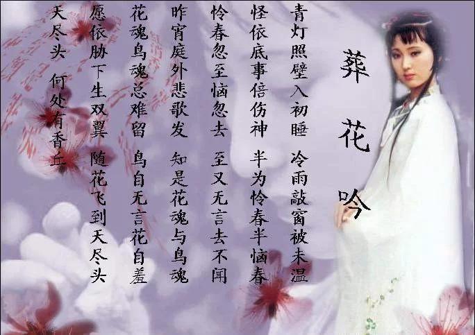 悄悄花落生原著小说叫什么名字图标
