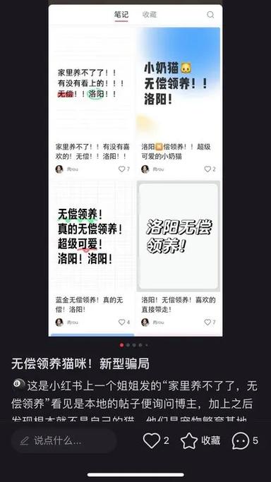 疯狂领养平台赚钱图标