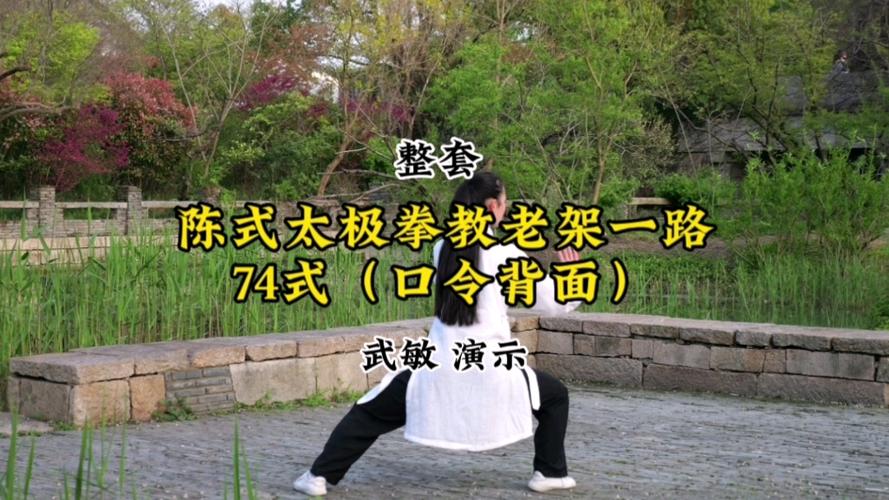 陈氏太极拳74式教学分解图标