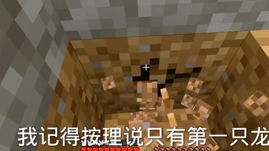 我的世界第二个龙蛋