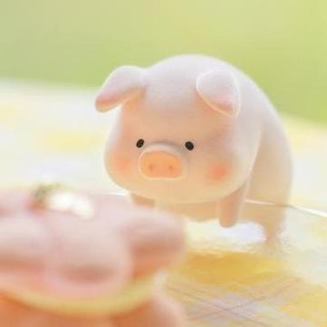 猪头像图片400张