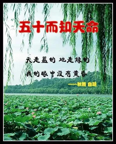 50岁公认最好三款面霜图标