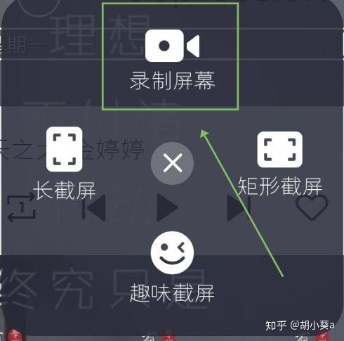 vivo手机录屏的录制声音的选项截图