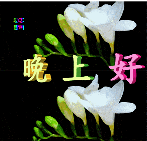 大家晚上好动态图片表情带字图标