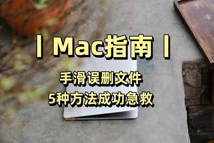 打开一个文件不小心点了总是怎么办
