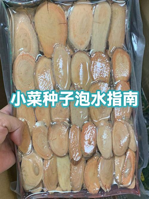种子泡水最长不能超过多久图标