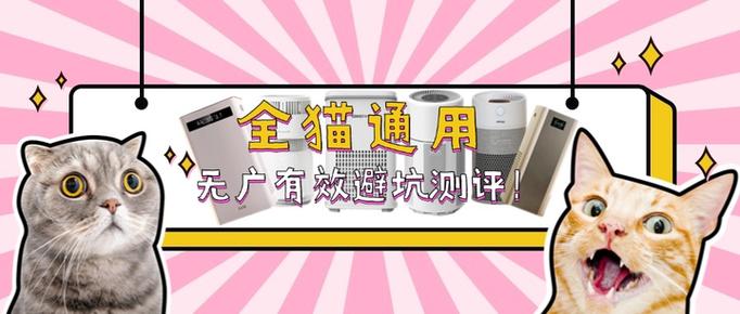 净化云网站是多少截图