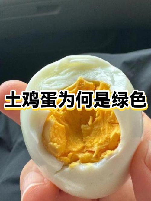 绿壳蛋好还是土鸡蛋好图标