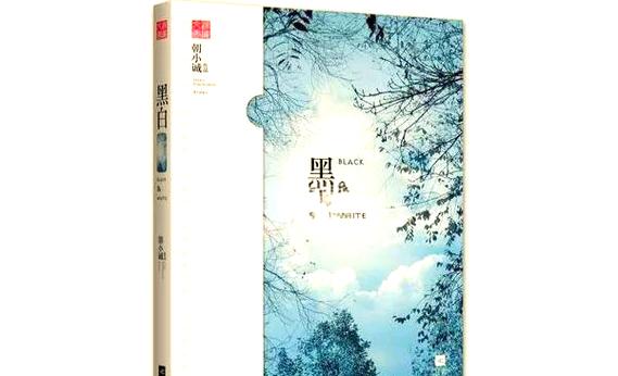 有没有和黑白一样的小说图标