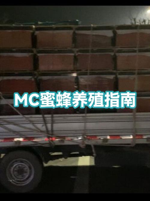 我的世界怎么让蜜蜂进入蜂巢
