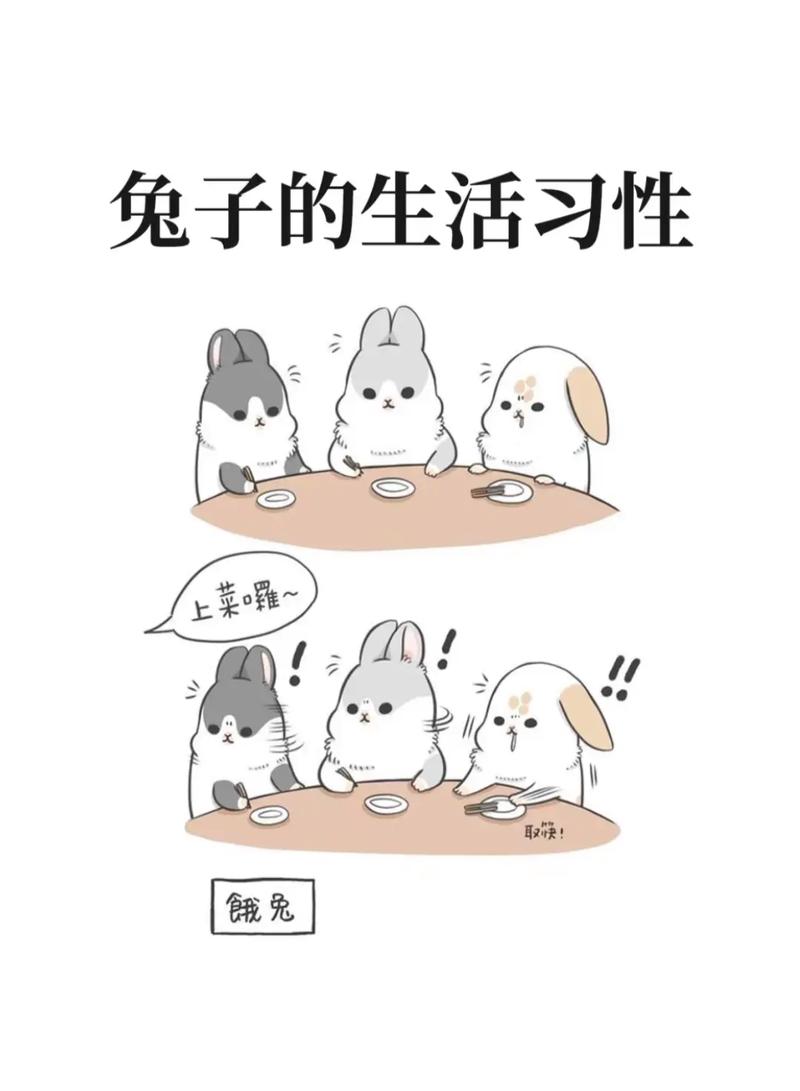 兔子的生活环境及特点缩略图