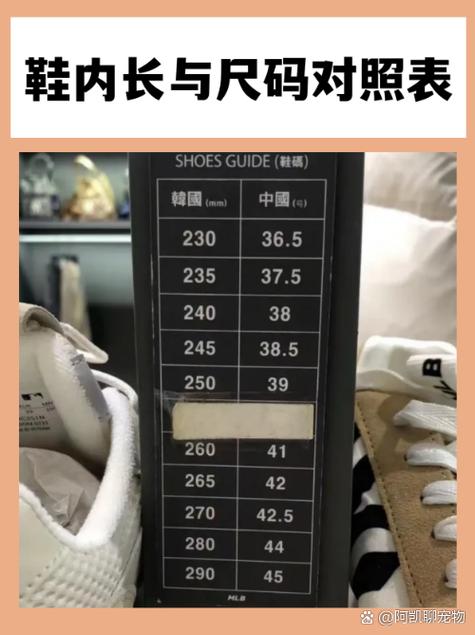 31cm是多大码鞋图标