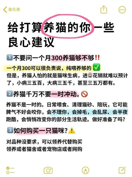 怎么养猫咪新手入门图标