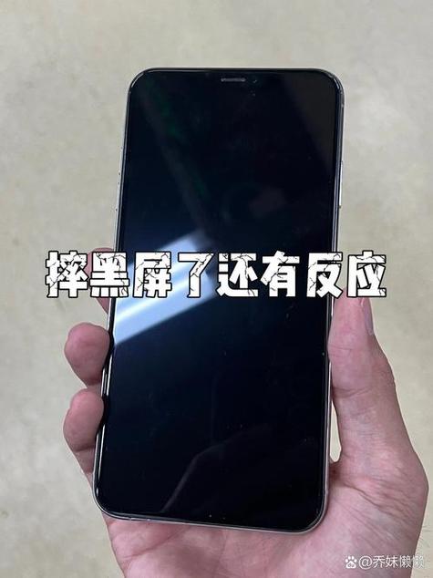 苹果手机屏幕一闪一闪没办法开机截图