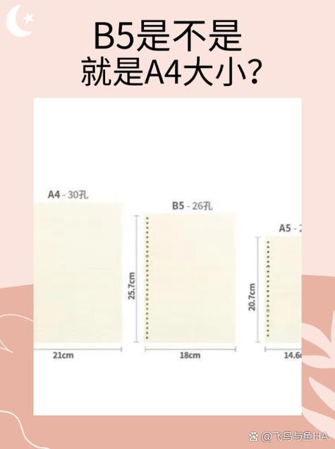 课本一般是A4还是B5图标