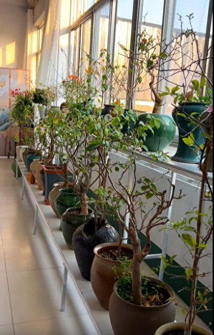 零零花app下载图标