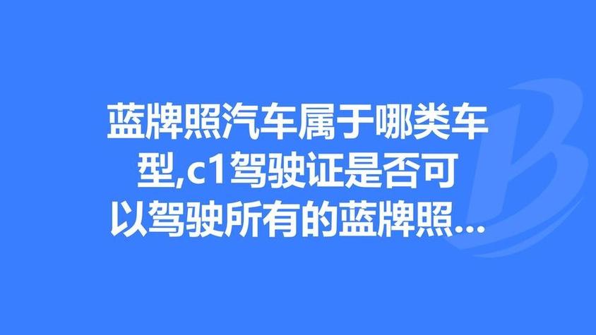 小车一个黄牌一个蓝牌是什么意思图标