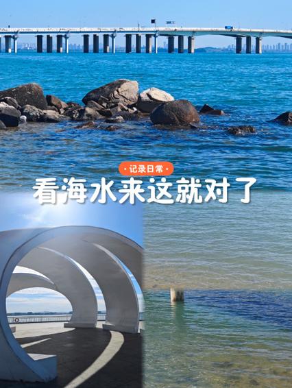 海水论坛有哪些