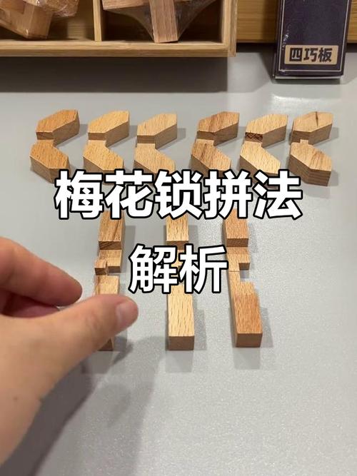 孔明梅花锁图解视频图标