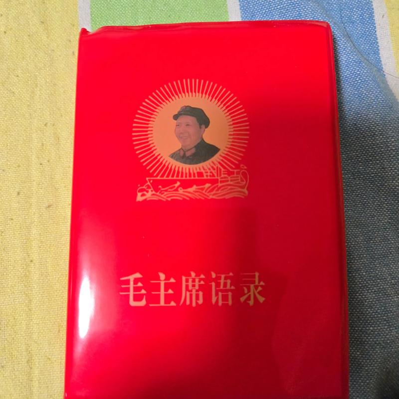 红宝书经典内容截图