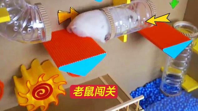 仓鼠死了还能养吗游戏截图