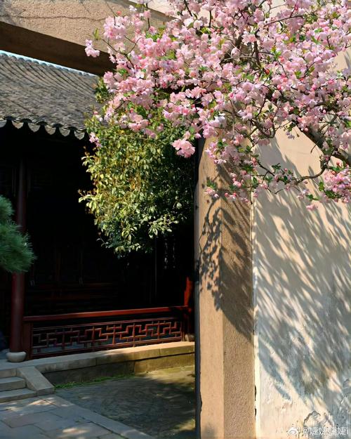 花开并蒂御书屋截图