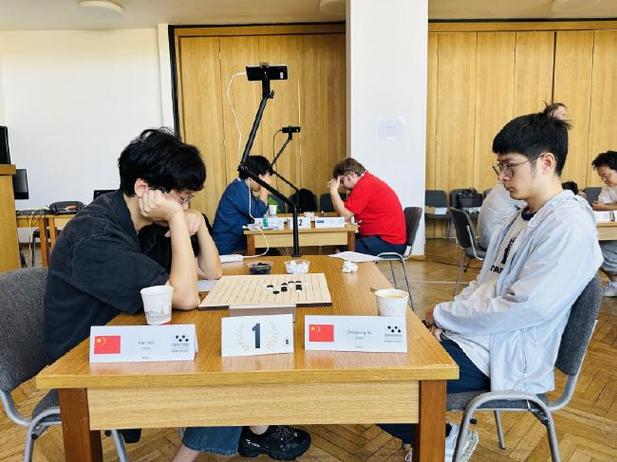 国际象棋等级划分表图标