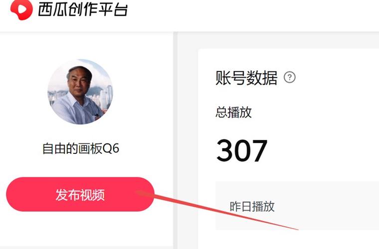 西瓜视频转发图标