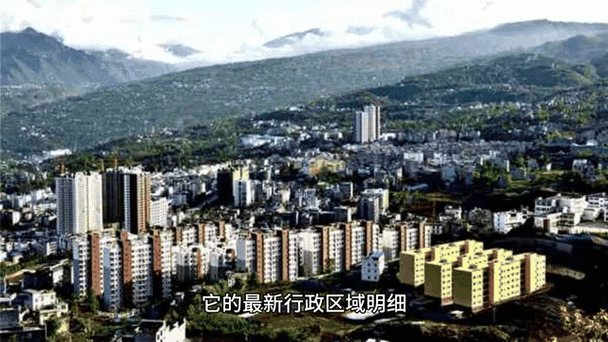 永善夏毛弟最新动态图标