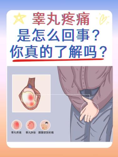 吃猪睾丸能壮阳吗游戏截图