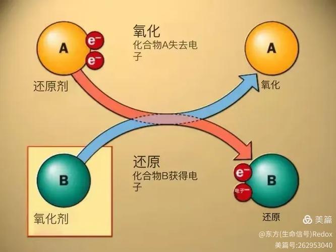 还原反应吸收能量嘛截图