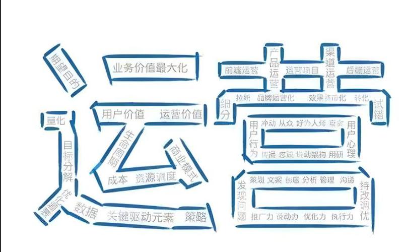 app运营是做什么的截图