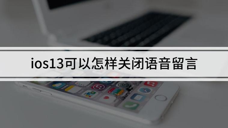 日版ios13关闭照相声音图标
