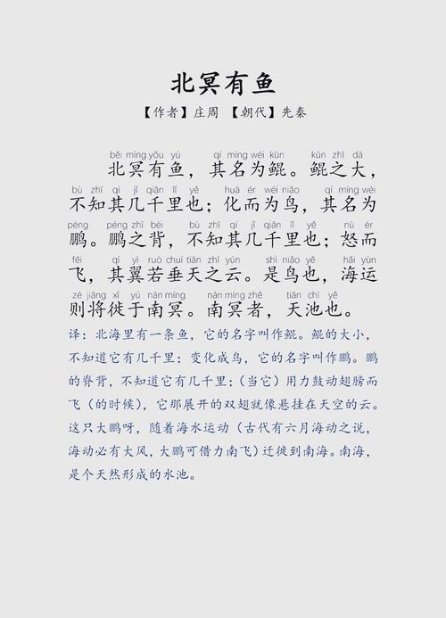 北冥有鱼暗部破解截图