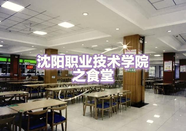 沈阳职业技术学校招生官网图标