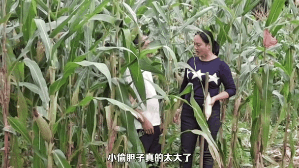 玉米频视截图