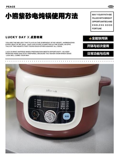 小熊电炖锅使用教程图标