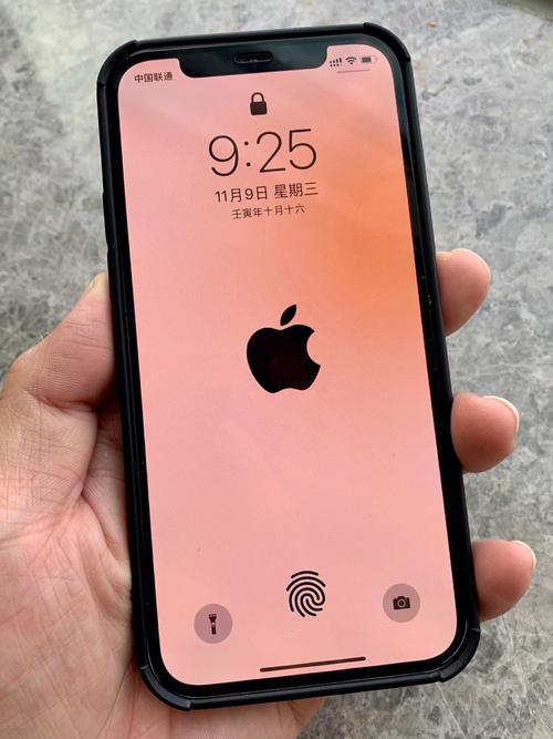 苹果手机home键不能指纹识别图标