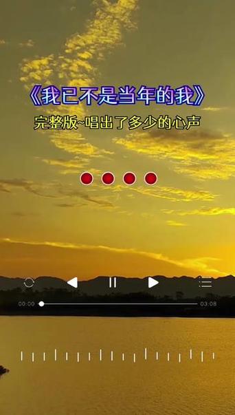 我不是当年的我歌曲原唱视频图标