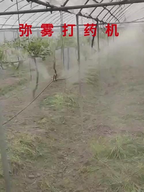 大棚全自动雾化喷雾设备图标