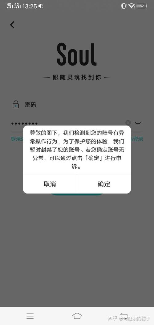 soul防止封号神器图标