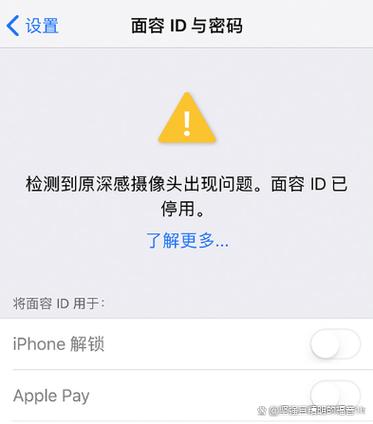 苹果的面容id不能用了图标
